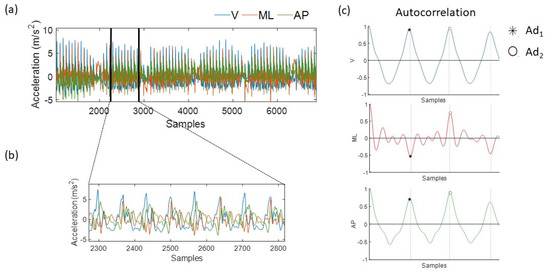 Symmetry | Free Full-Text | A Proposal for a Linear Calculation of Gait ...