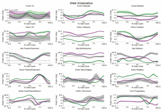 Increased Asymmetry of Trunk, Pelvis, and Hip Motion during Gait in ...