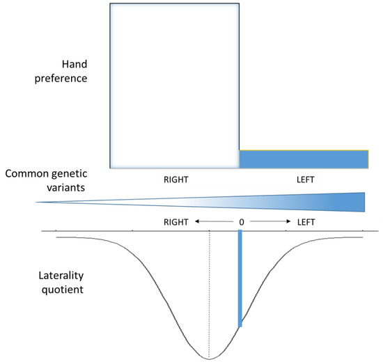 Recent Advances in Handedness Genetics