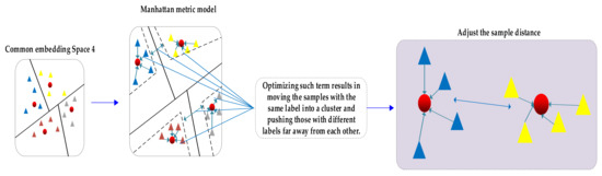 Symmetry Free Full Text Hyperspectral Image Classification Based On Cross Scene Adaptive