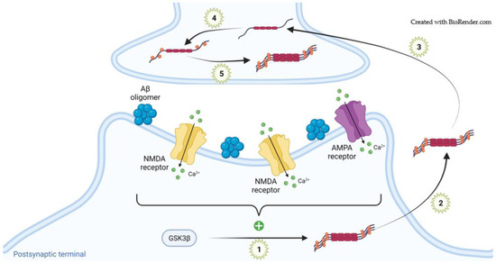 Symmetric and Asymmetric Synapses Driving Neurodegenerative Disorders
