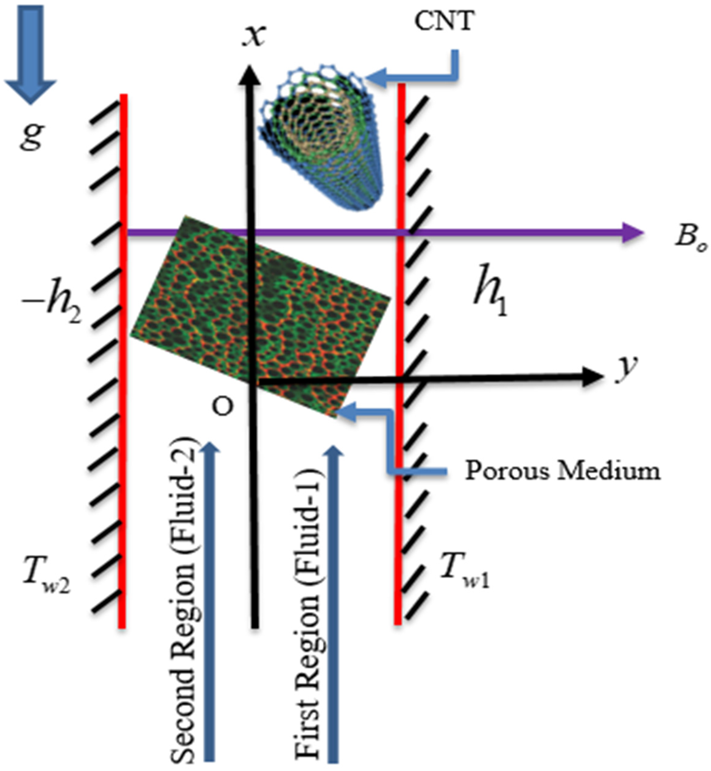 Electromagnetic Flow of SWCNT/MWCNT Suspensions in Two Immiscible Water ...