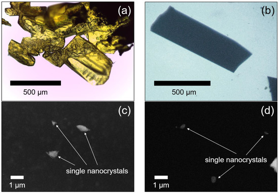 Two New Organic Co-Crystals Based on Acetamidophenol Molecules