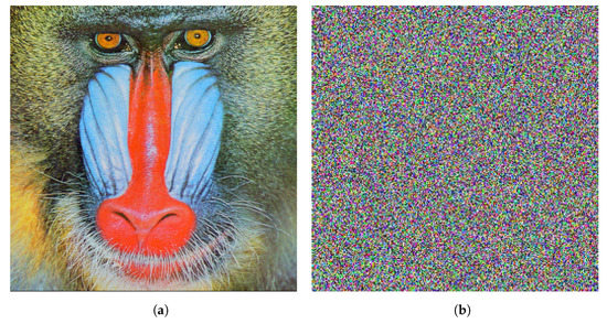 RGB Image Encryption through Cellular Automata, S-Box and the Lorenz System