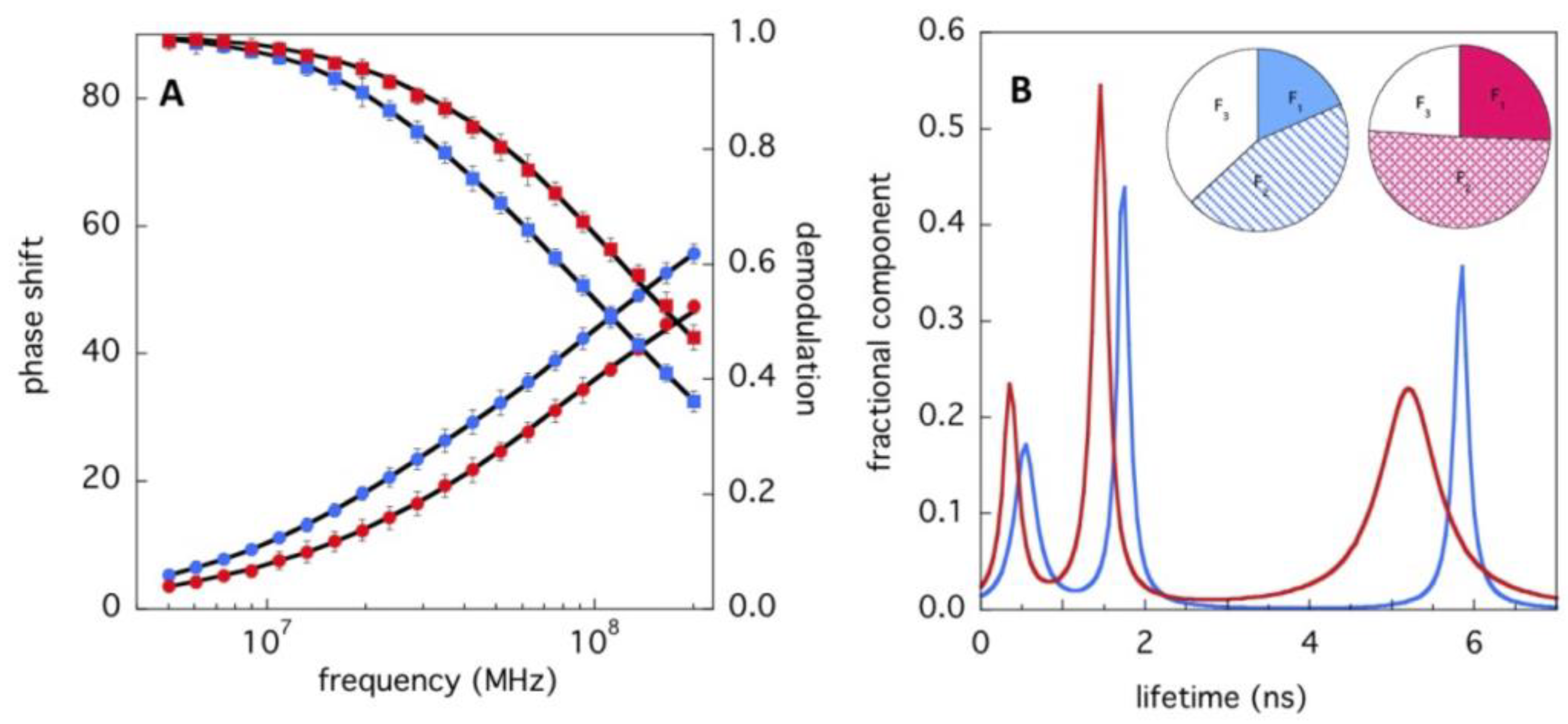 Symmetric versus Asymmetric Features of Homologous Homodimeric Amine ...