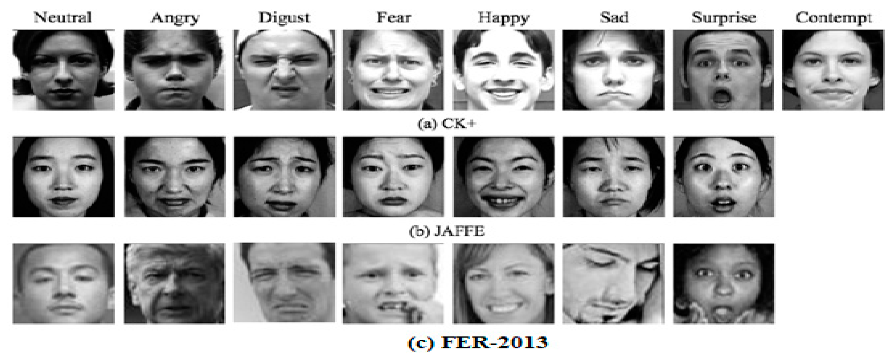 Driver Emotions Recognition Based on Improved Faster R-CNN and Neural ...