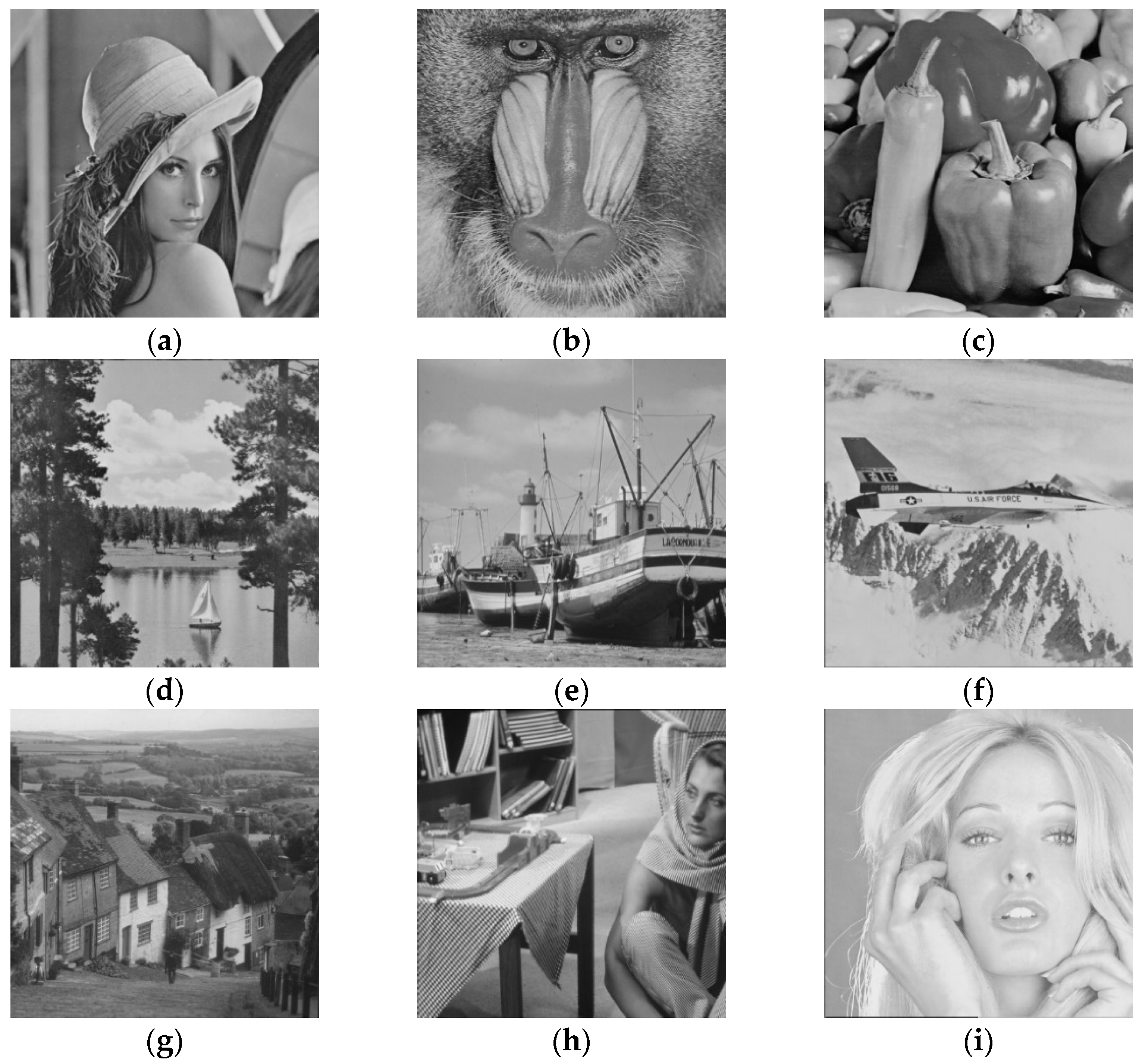 A Large Payload Data Hiding Scheme Using Scalable Secret Reference Matrix