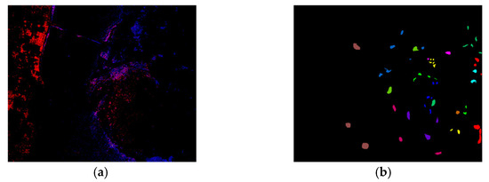 Symmetry | Special Issue : Symmetry in Big Geospatial and Remote ...