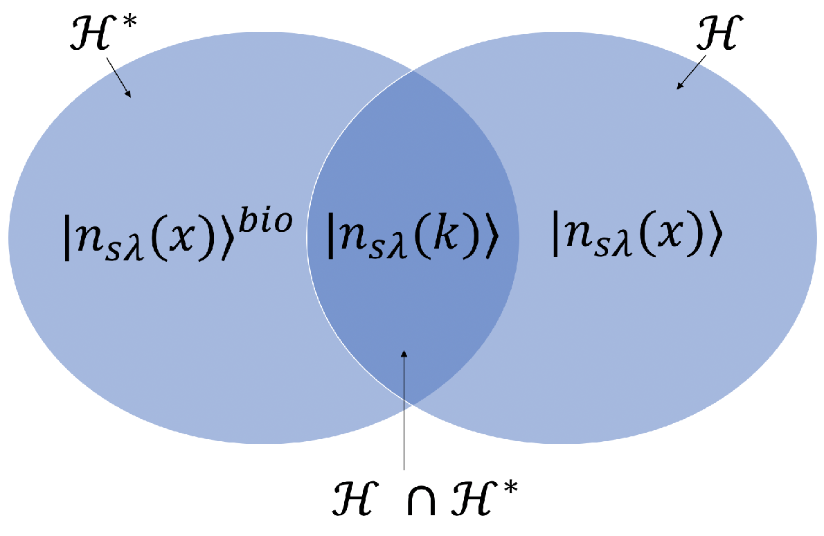 Symmetry | Free Full-Text | Comparing Hermitian and Non-Hermitian ...
