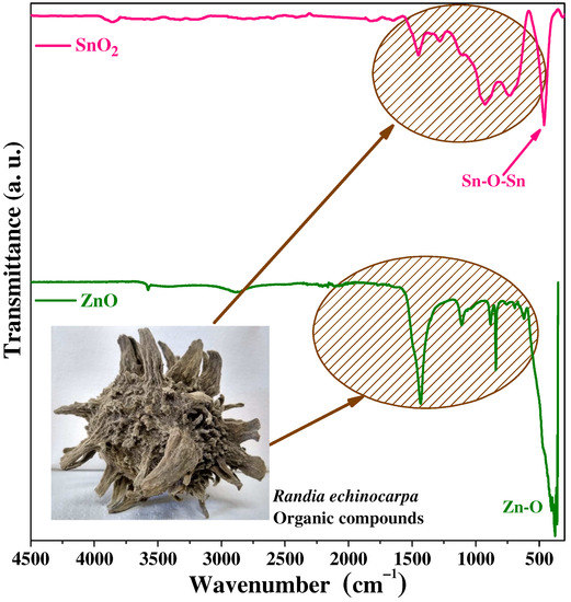 Comparative Study of SnO2 and ZnO Semiconductor Nanoparticles ...