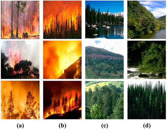 FFireNet: Deep Learning Based Forest Fire Classification and Detection ...