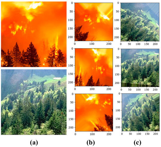 FFireNet: Deep Learning Based Forest Fire Classification and Detection ...
