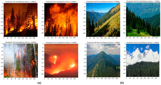 FFireNet: Deep Learning Based Forest Fire Classification and Detection ...