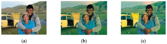 Symmetry | Free Full-Text | Image Colorization Algorithm Based on Deep ...