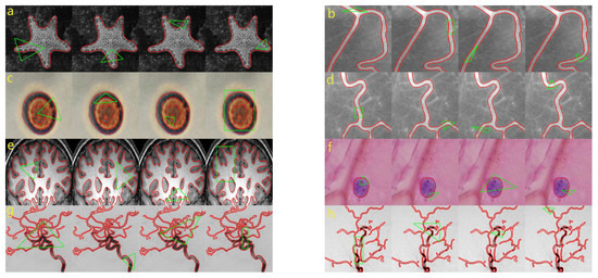An Active Contour Model Based on Retinex and Pre-Fitting Reflectance for Fast Image Segmentation