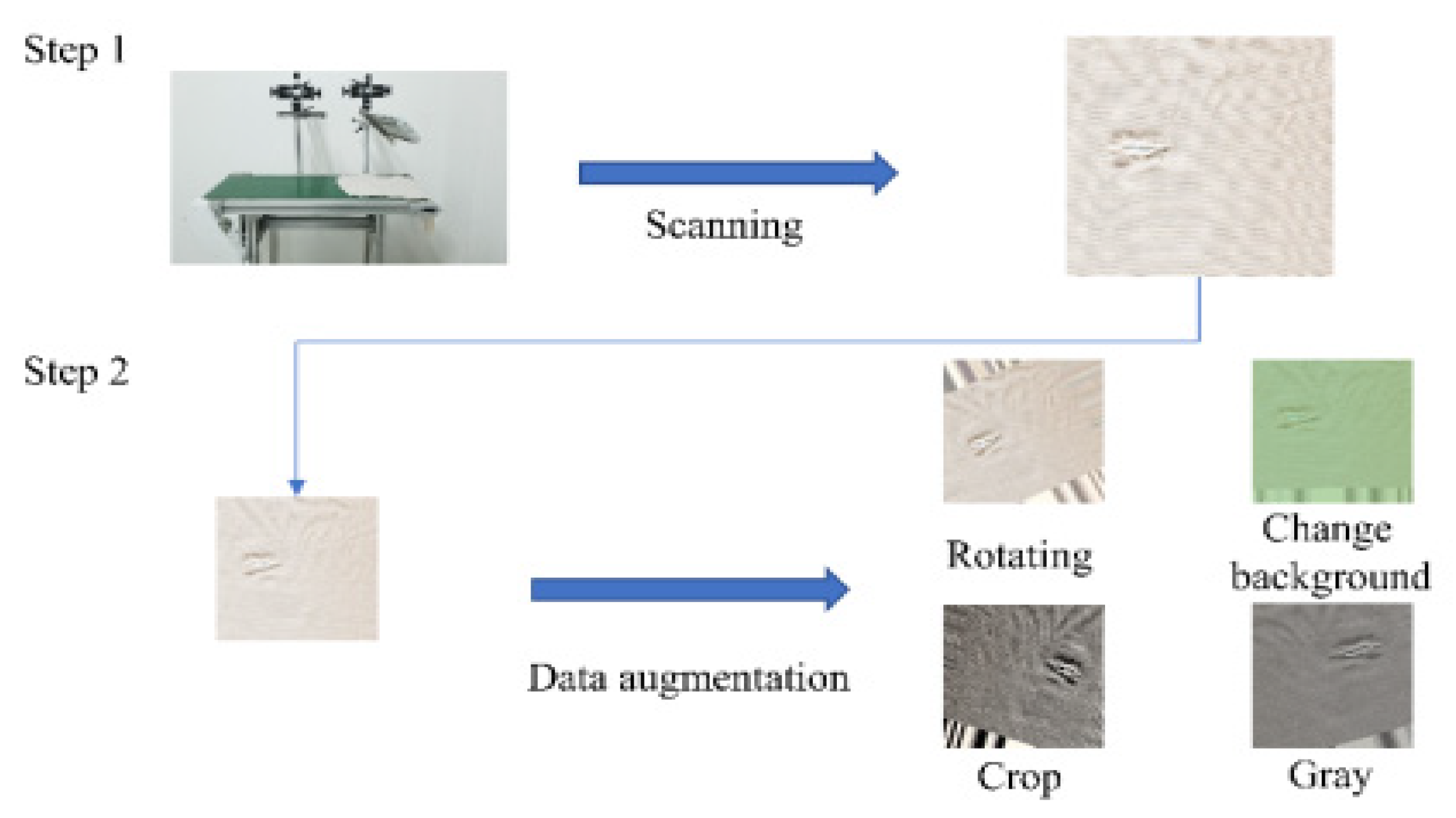 Fabric Surface Defect Detection Using SE-SSDNet
