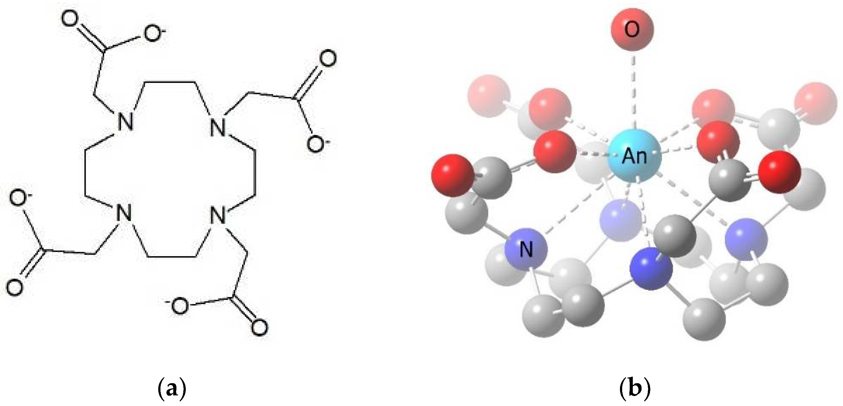 Theoretical Study of Complexes of Tetravalent Actinides with DOTA