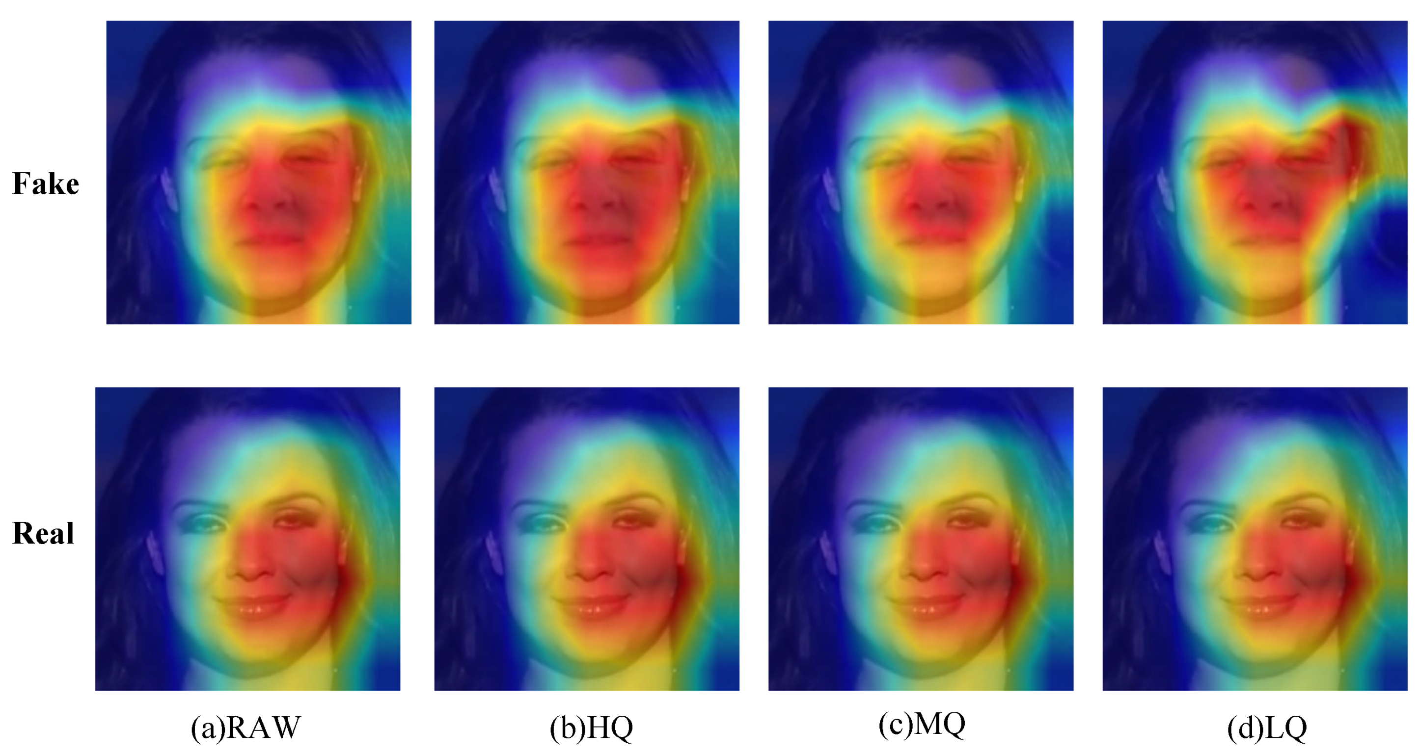Detecting Compressed Deepfake Images Using Two-Branch Convolutional ...