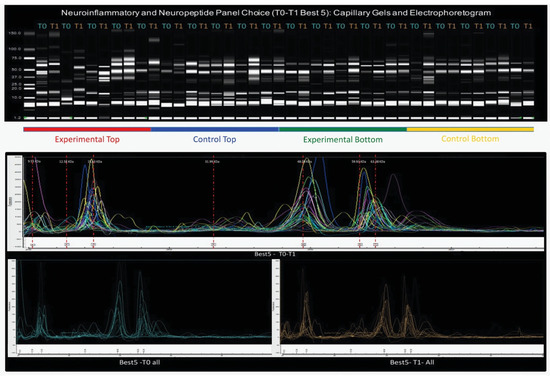 Symmetry | Free Full-Text | MODeLING.Vis: A Graphical User Interface Toolbox Developed for ...