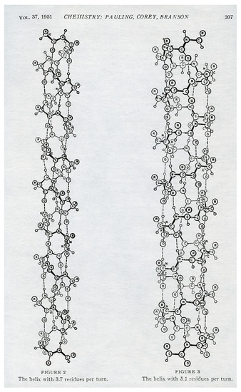Origin of Homochirality: The Formation and Stability of Homochiral ...