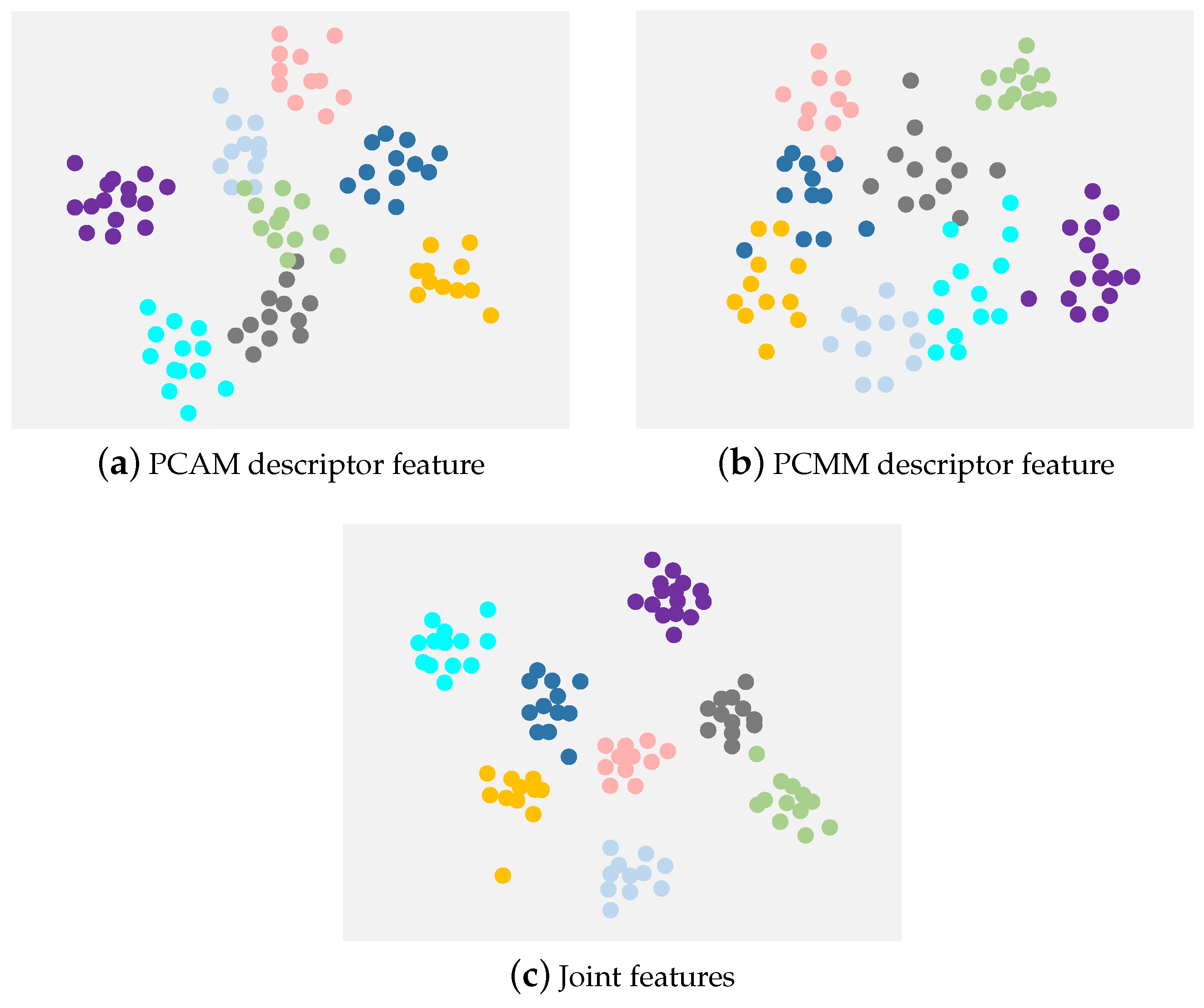 PointMapNet: Point Cloud Feature Map Network for 3D Human Action ...