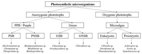 Wastewater Treatment Using Photosynthetic Microorganisms