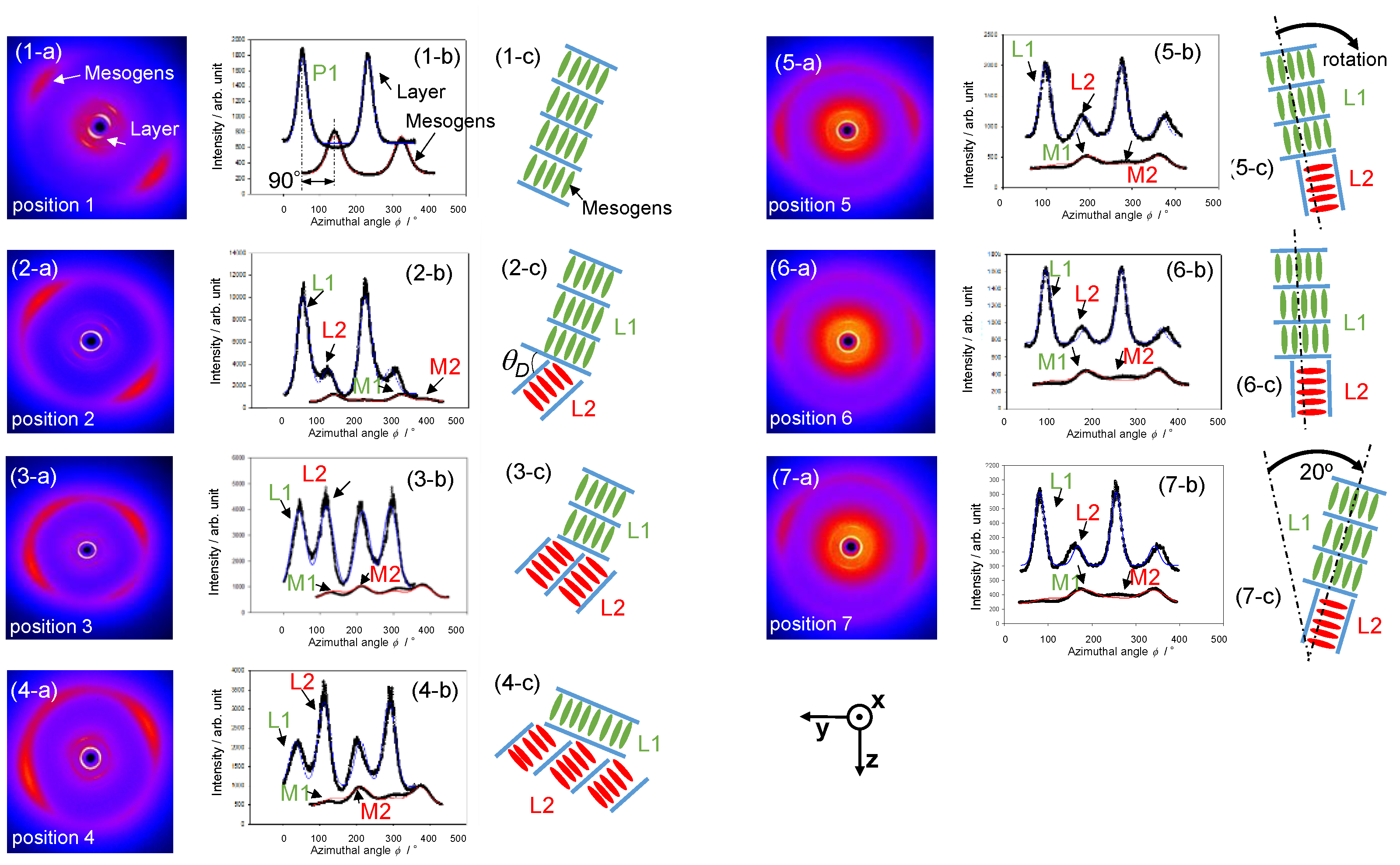 Flexoelectric Polarization in Liquid Crystalline Elastomers Prepared by Cross-Linking under ...