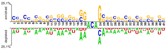 M6A-BERT-Stacking: A Tissue-Specific Predictor for Identifying RNA N6 ...