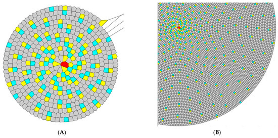 Voronoi Diagrams Generated by the Archimedes Spiral: Fibonacci Numbers, Chirality and Aesthetic ...