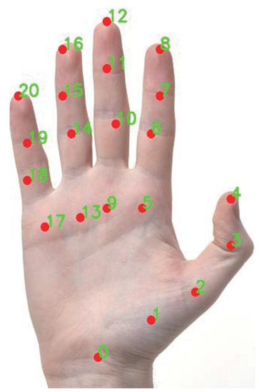 A Novel Heteromorphic Ensemble Algorithm for Hand Pose Recognition