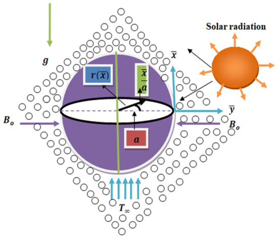 The Effects of Reduced Gravity and Radiative Heat Transfer on the ...