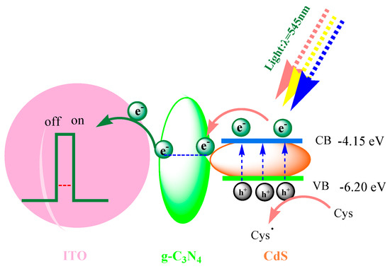 Ultrasensitive Determination of L-Cysteine with g-C3N4@CdS-Based ...