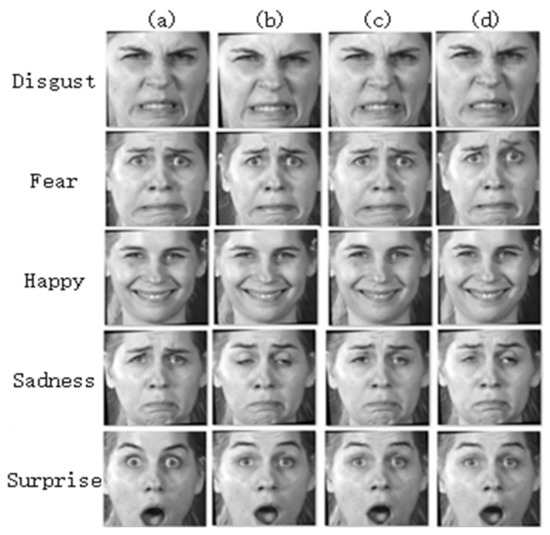Symmetry | Free Full-Text | The Facial Expression Data Enhancement ...