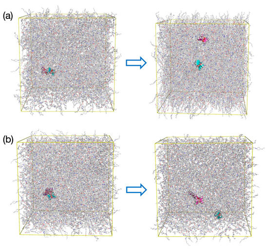 Symmetry | Free Full-Text | The Missing Relationship between the ...