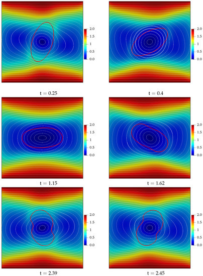 Computational Modeling of Individual Red Blood Cell Dynamics Using Discrete Flow Composition and ...