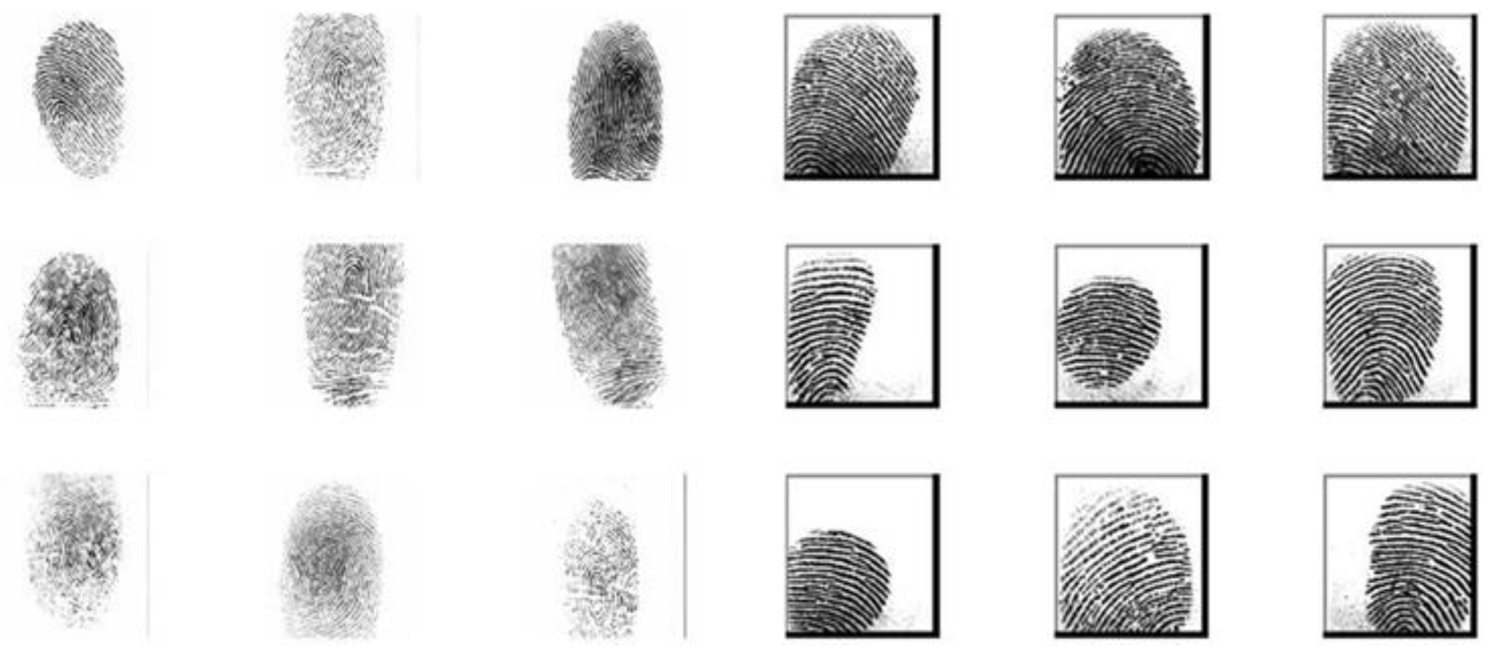 A Cancelable Biometric System Based on Deep Style Transfer and Symmetry ...