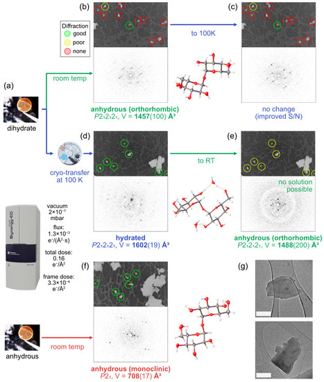 Making the Most of 3D Electron Diffraction: Best Practices to Handle a New Tool