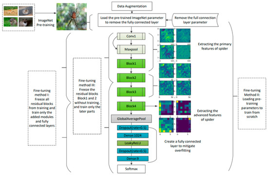 Research on Spider Recognition Technology Based on Transfer Learning ...