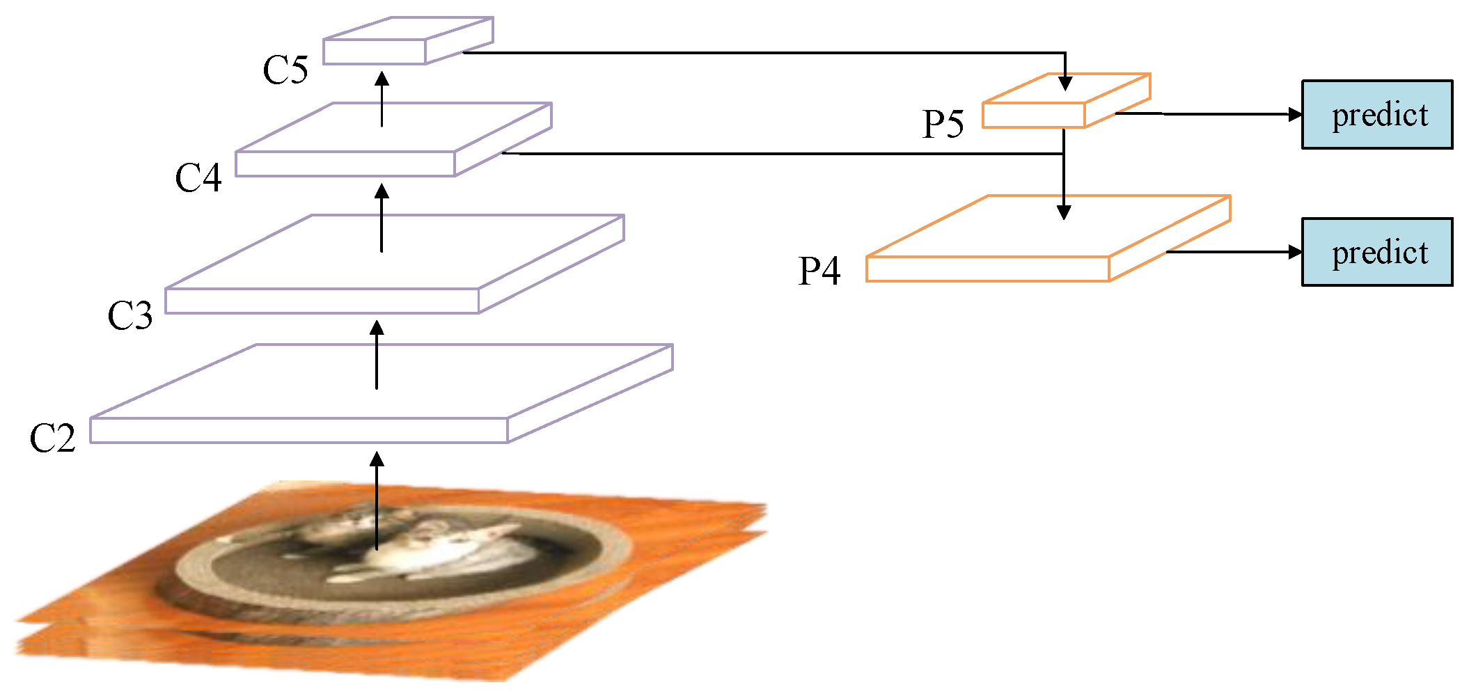 A Novel Lightweight Object Detection Network with Attention Modules and Hierarchical Feature Pyramid