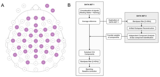 Modelling EEG Dynamics with Brain Sources