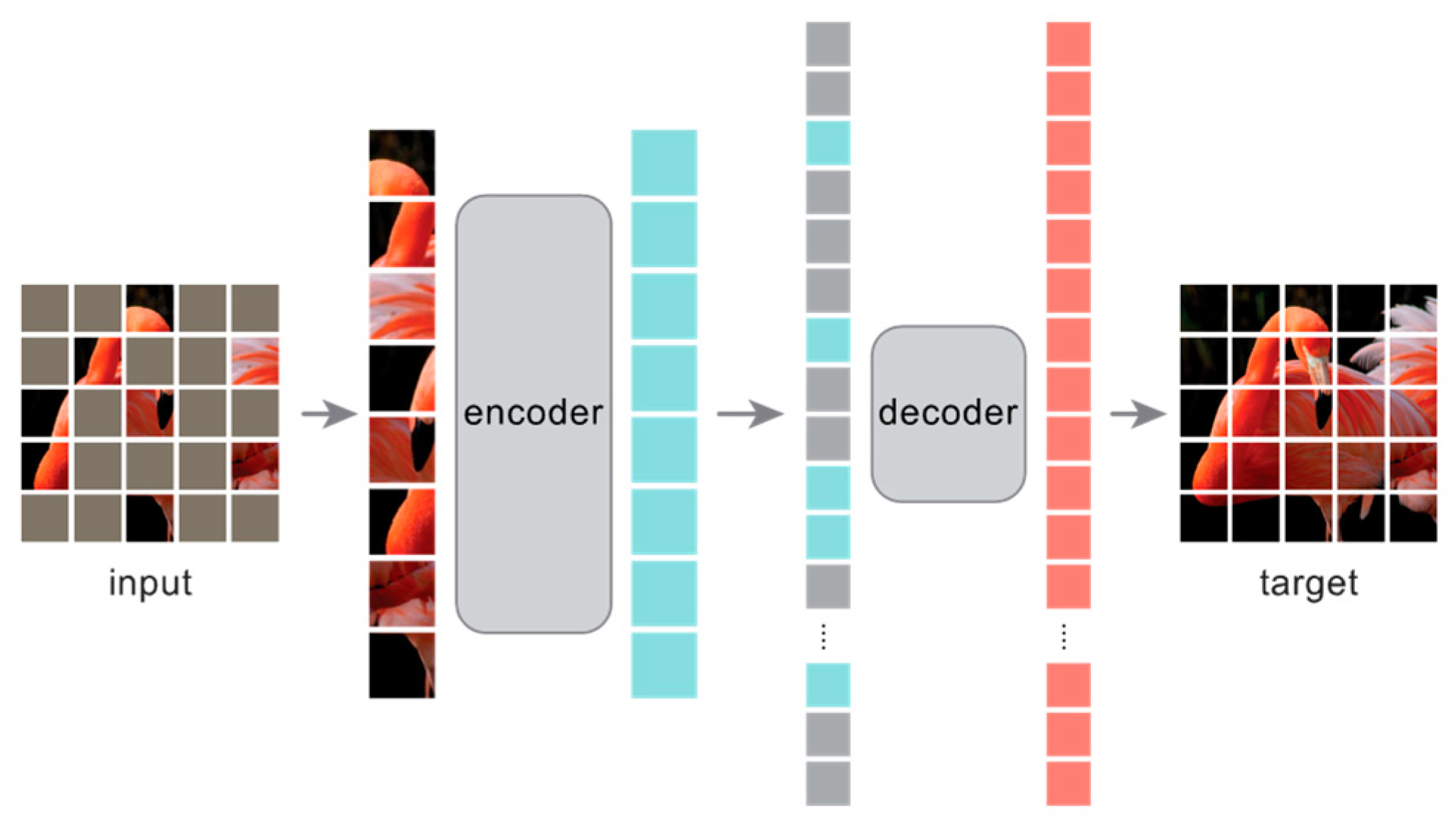 Semi-Symmetrical, Fully Convolutional Masked Autoencoder for TBM Muck Image Segmentation