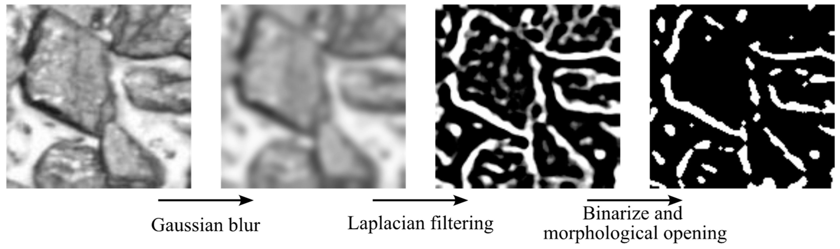 Semi-Symmetrical, Fully Convolutional Masked Autoencoder for TBM Muck ...