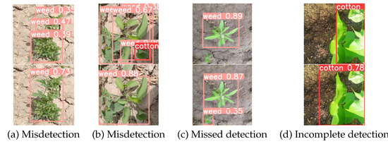 Improved Weed Detection in Cotton Fields Using Enhanced YOLOv8s with Modified Feature Extraction ...