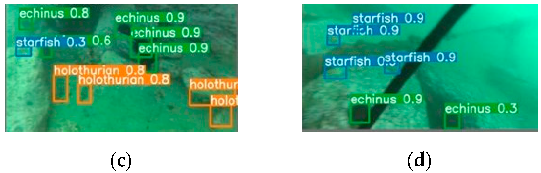 Yolov7 Sn Underwater Target Detection Algorithm Based On Improved Yolov7 9646