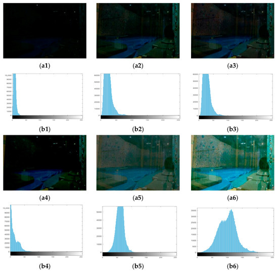 A Hybrid Swarming Algorithm for Adaptive Enhancement of Low-Illumination Images