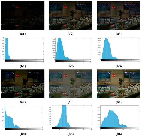 A Hybrid Swarming Algorithm for Adaptive Enhancement of Low-Illumination Images