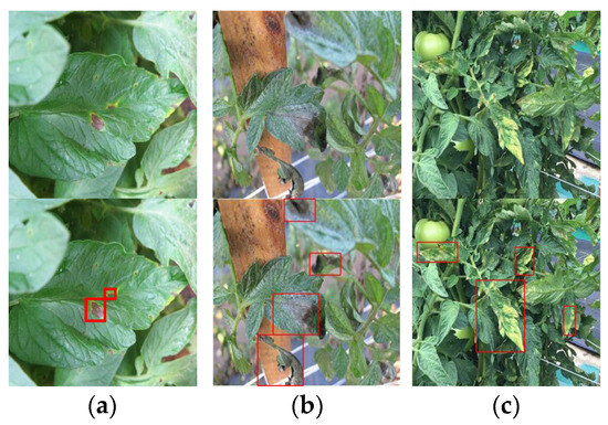 Multifactorial Tomato Leaf Disease Detection Based on Improved YOLOV5