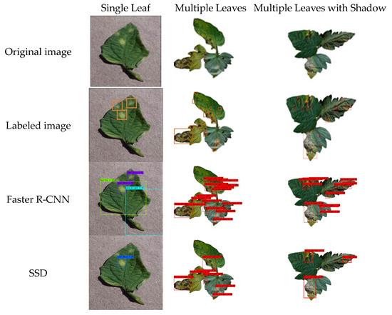 Multifactorial Tomato Leaf Disease Detection Based on Improved YOLOV5