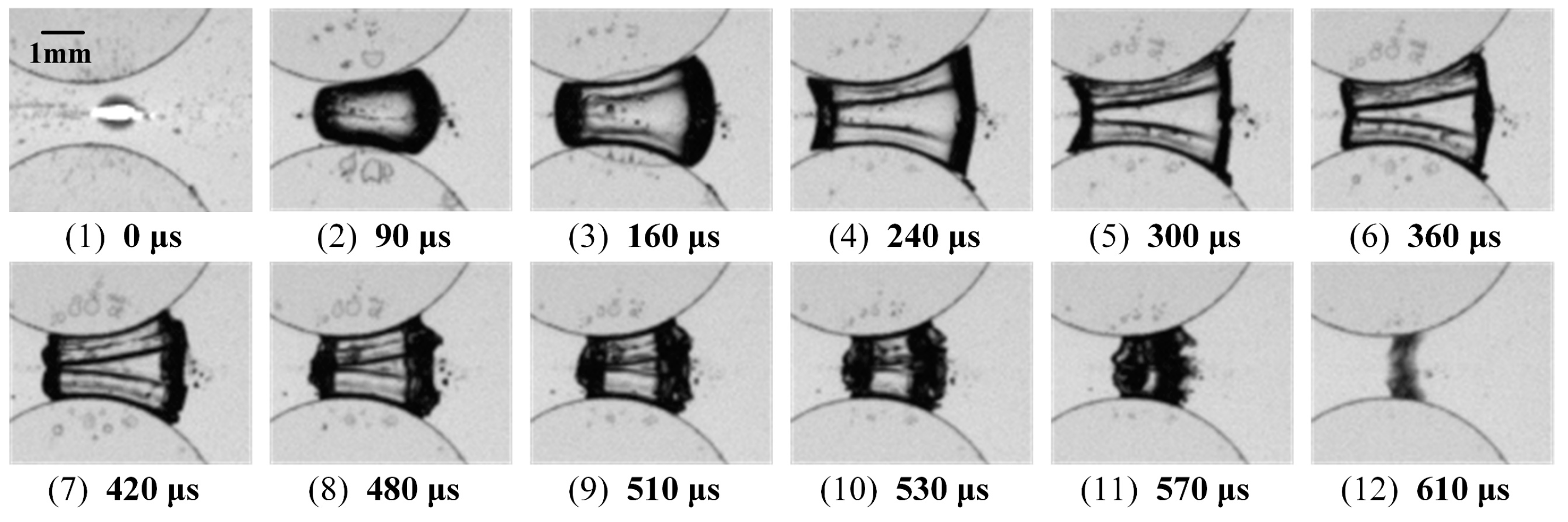 The Bubble Dynamics near Double Cylinders within a Narrow Gap