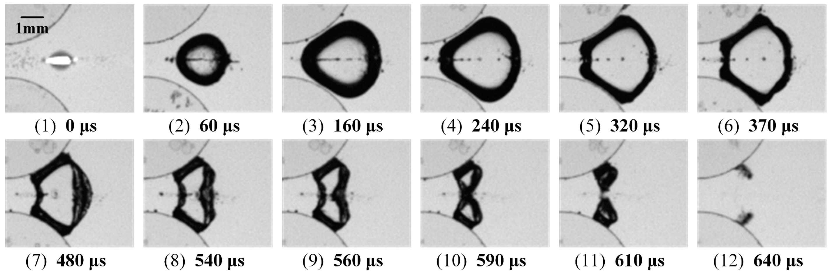 The Bubble Dynamics near Double Cylinders within a Narrow Gap